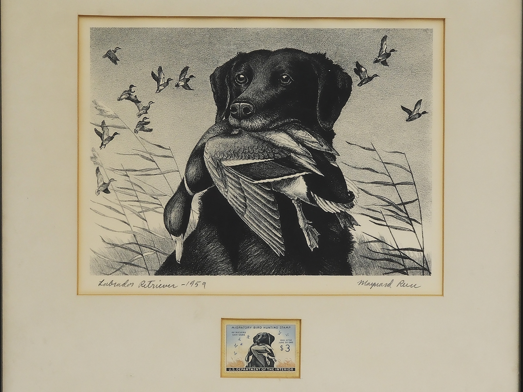 Maynard Reece | Labrador Retriever (1959) | MutualArt