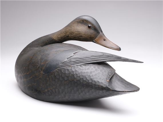A. Elmer Crowell | Preening black duck (Circa 1905) | MutualArt