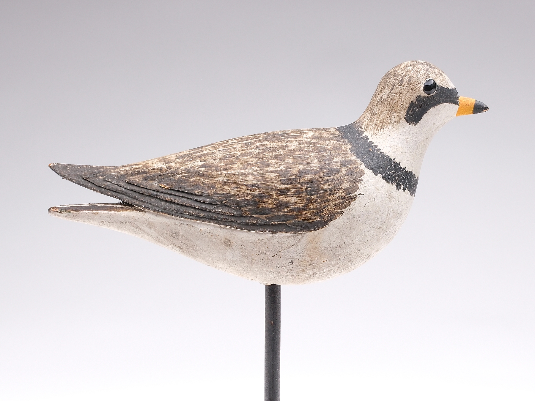 A. Elmer Crowell | Semi palmated plover (Circa 1910) | MutualArt
