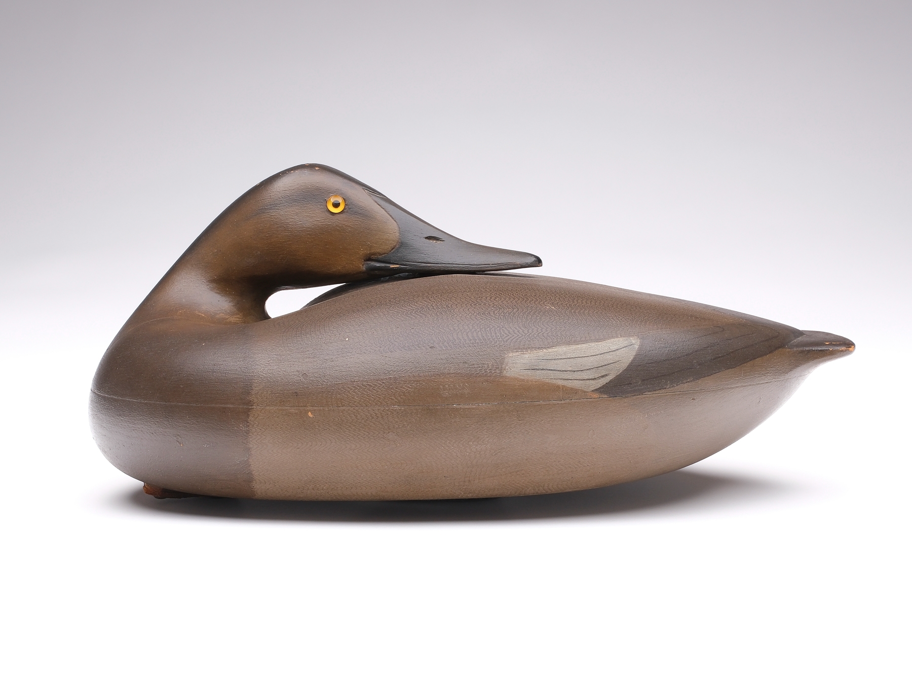Charles Shang Wheeler | Canvasback hen | MutualArt