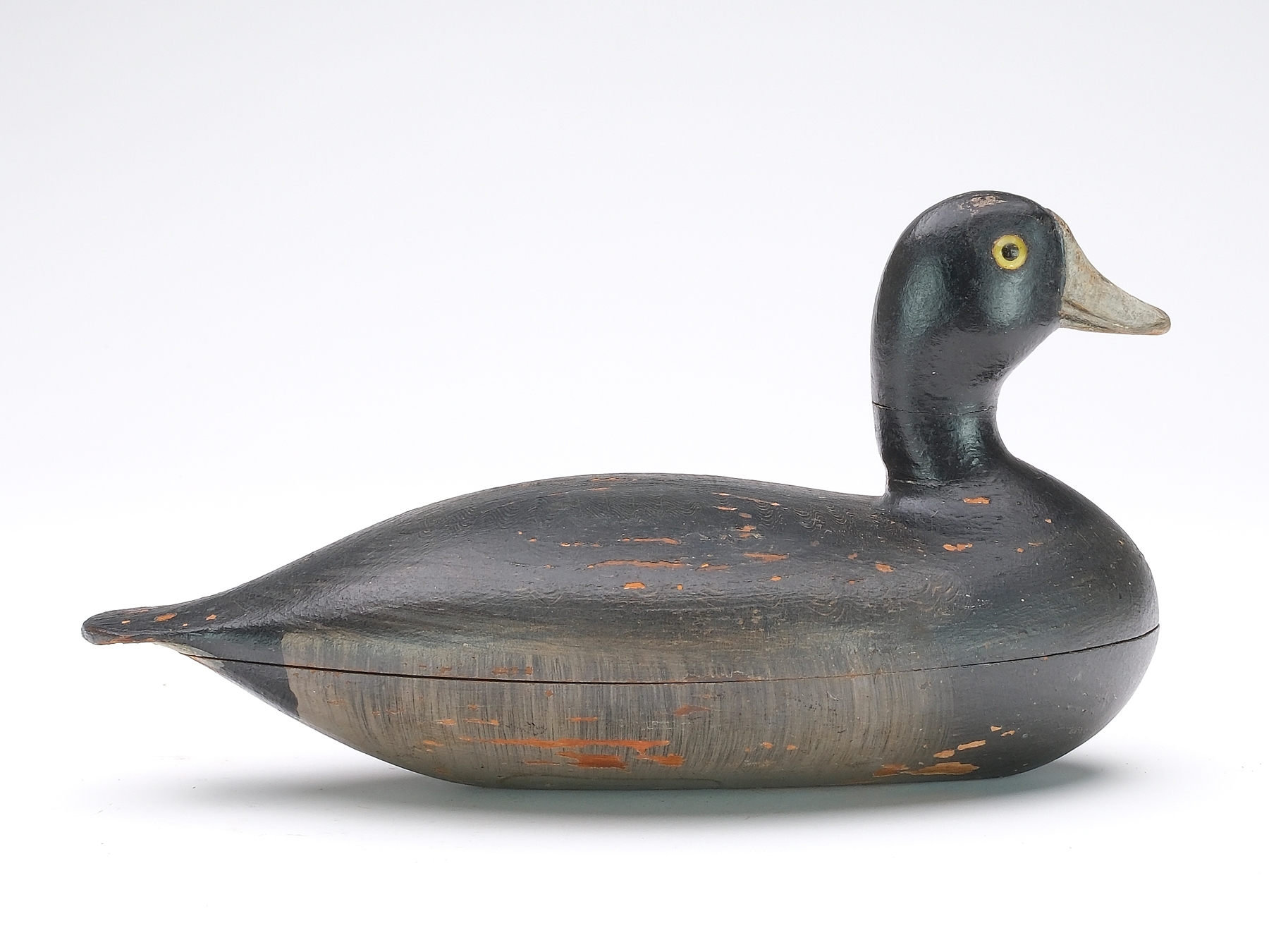Robert Elliston | Exceedingly rare coot | MutualArt