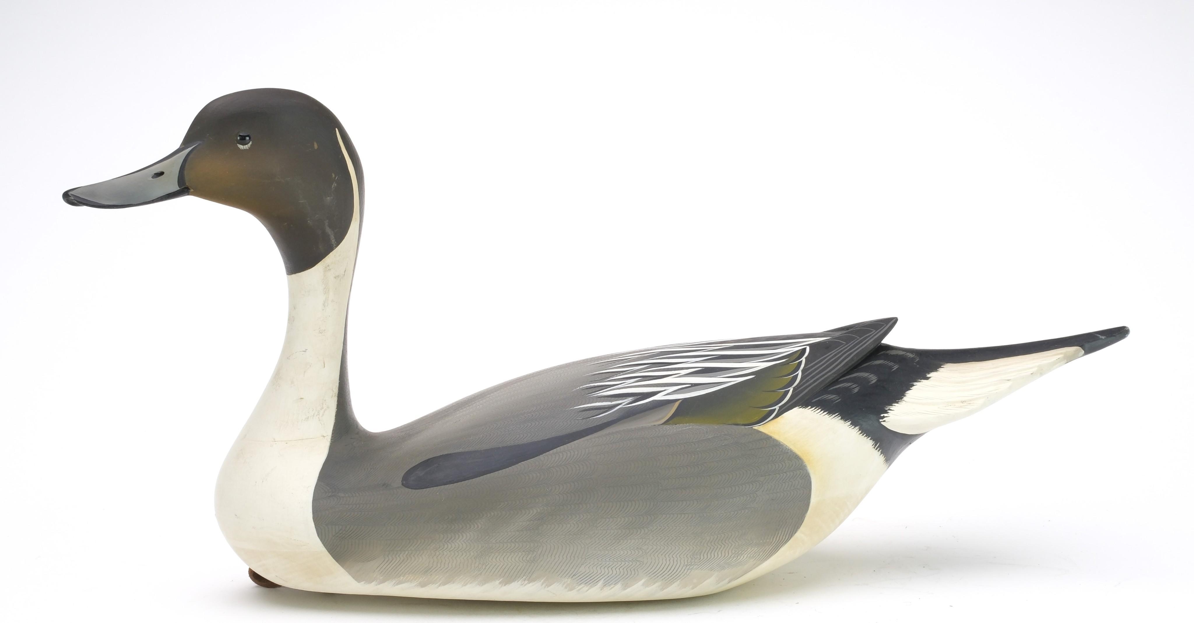 George Strunk | Pintail | MutualArt