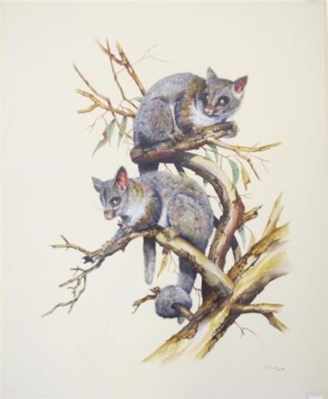 Paul Margocsy | Possums | MutualArt
