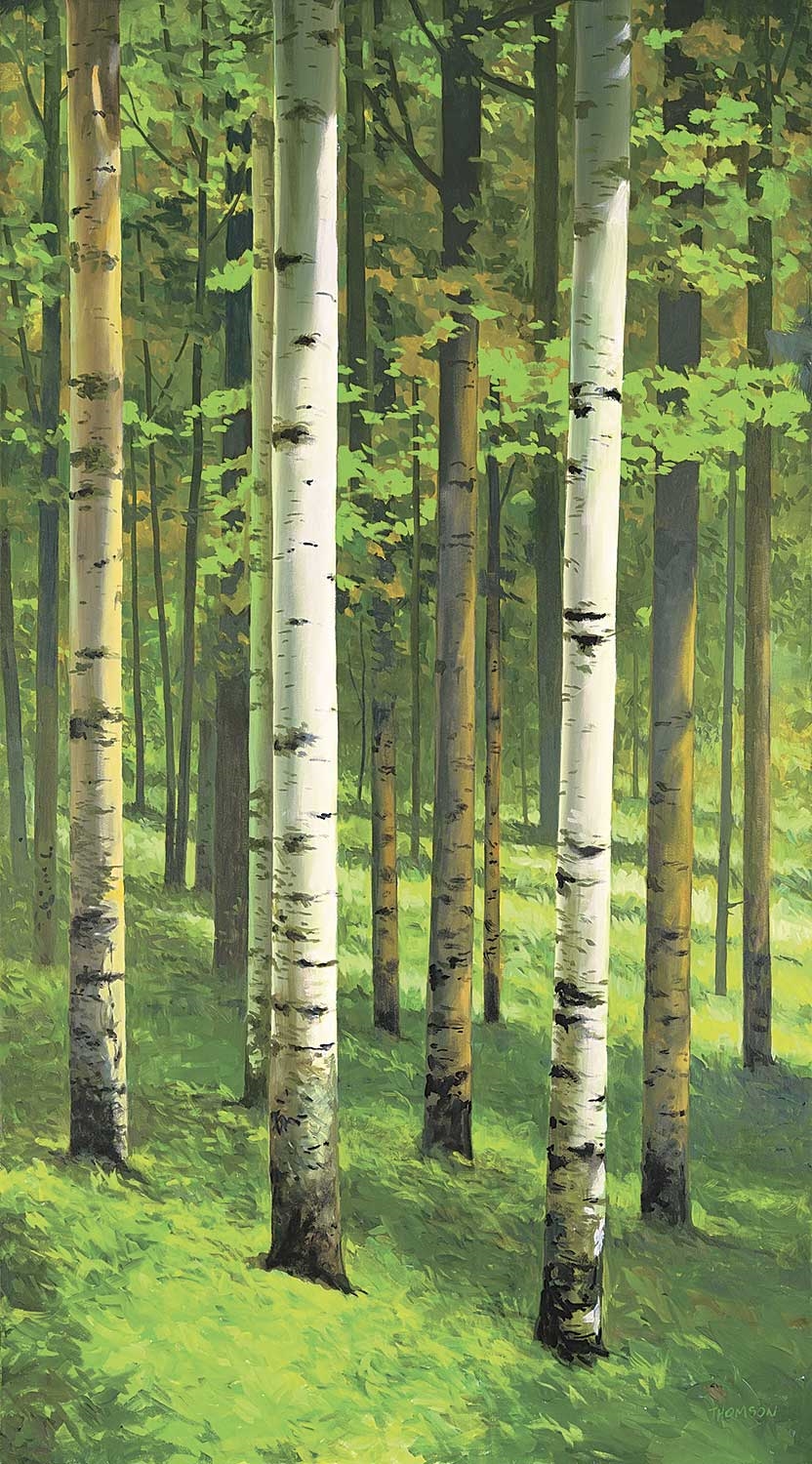 Keith Thomson | Deep in a Forest | MutualArt