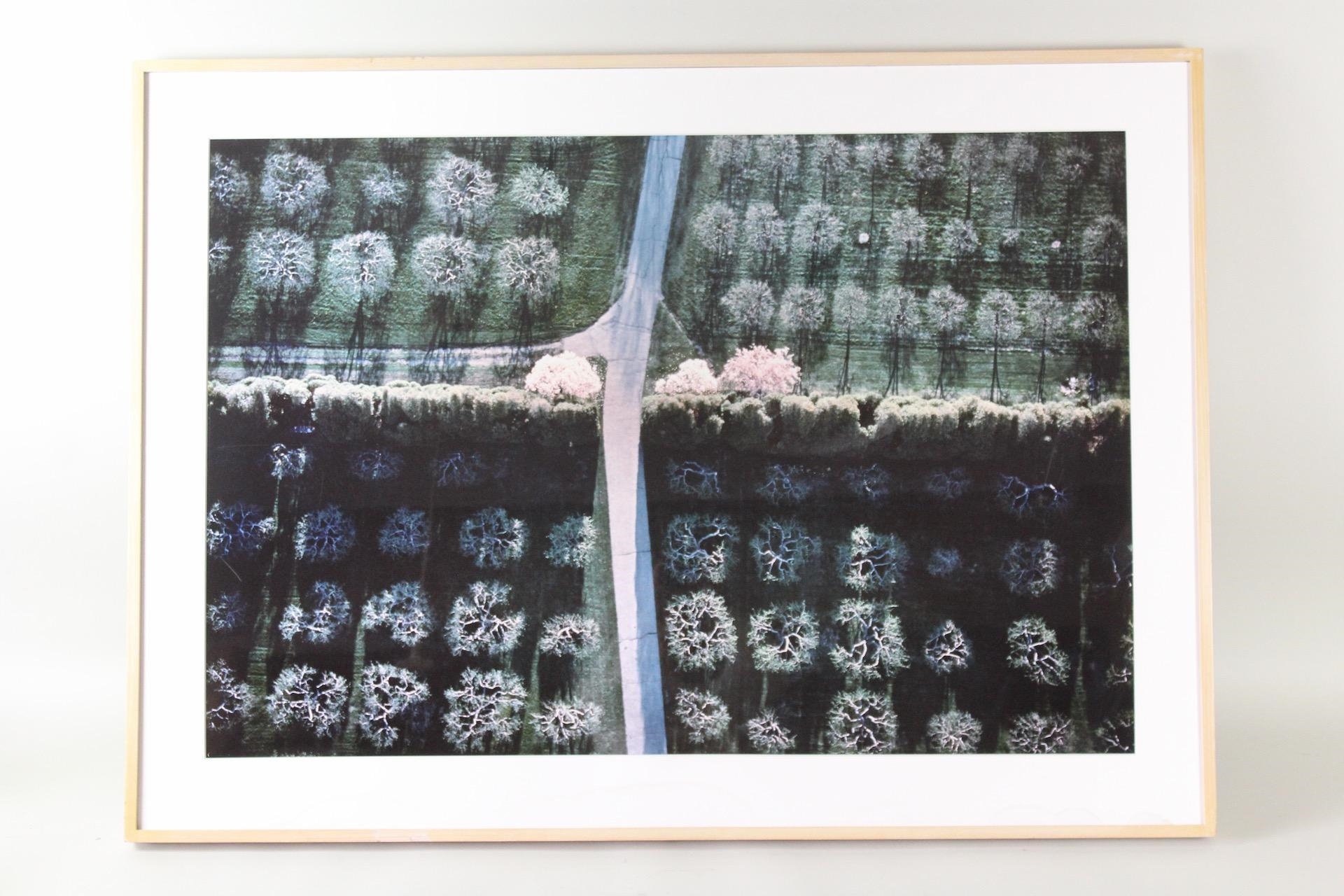 Alex MacLean | Alex MacLean Newport RI: Blossoms Aerial Photograph ...