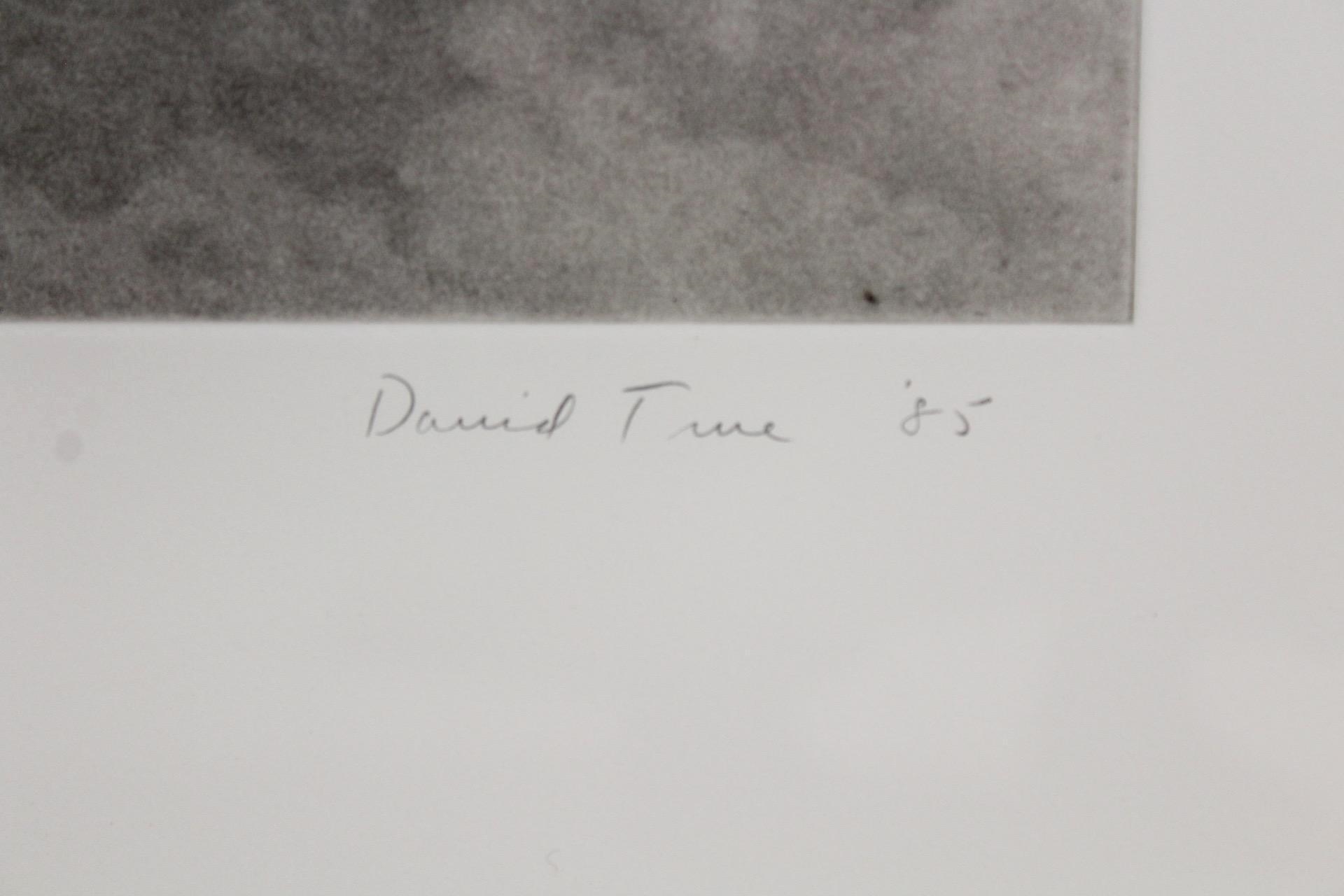 David True | Woodland | MutualArt