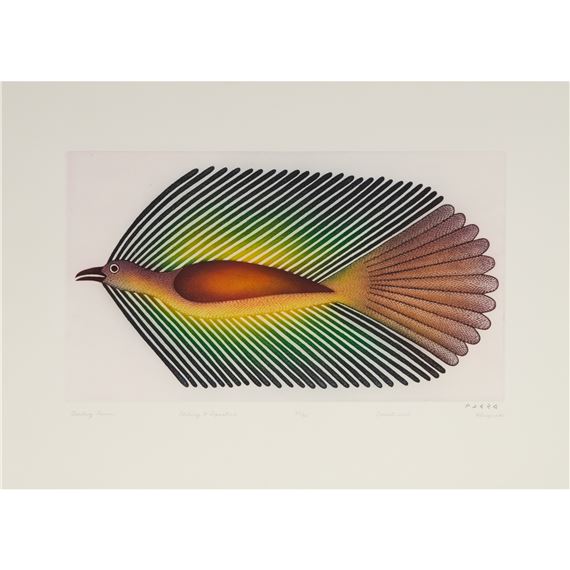 Kenojuak Ashevak | DARTING RAVEN, 2005 (2005) | MutualArt