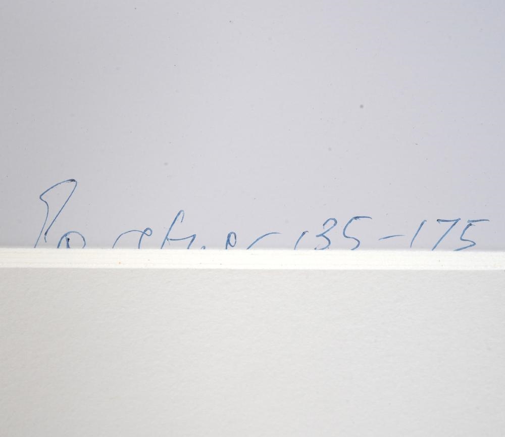 Karl Gerstner | Karl Gerstner Color Sounds Lithograph | MutualArt