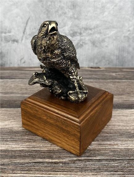 Wally Shoop | Wally Shoop Perfect Vision Eagle Bronze | MutualArt