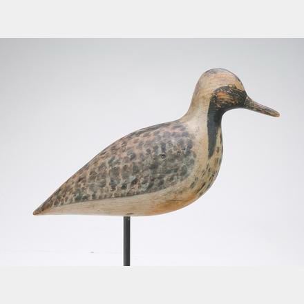 Harry V. Shourds | Rare black bellied plover in eclipse plumage | MutualArt