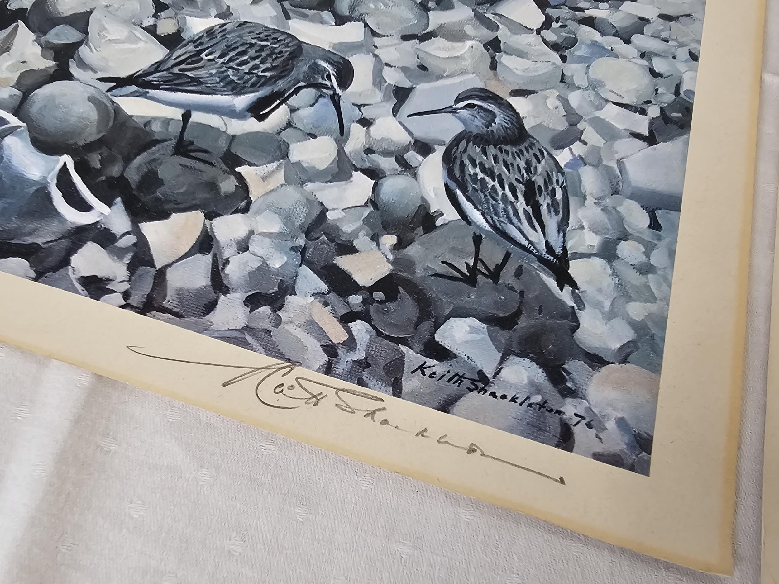 Keith Shackleton | A collection of six Keith Shackleton prints | MutualArt