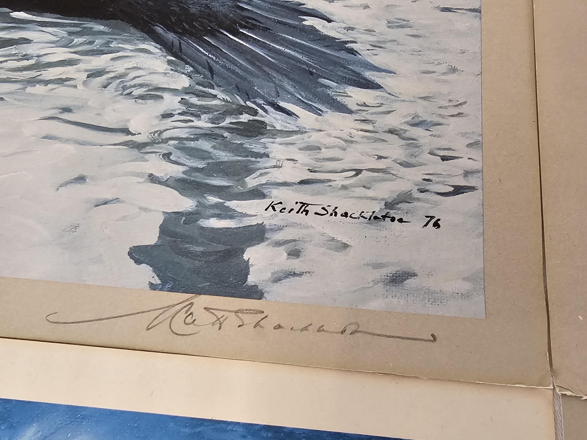 Keith Shackleton | A collection of six Keith Shackleton prints | MutualArt