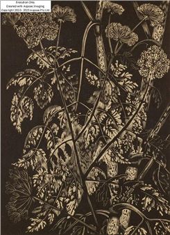 Frederick Etchells | 15 Artworks at Auction | MutualArt