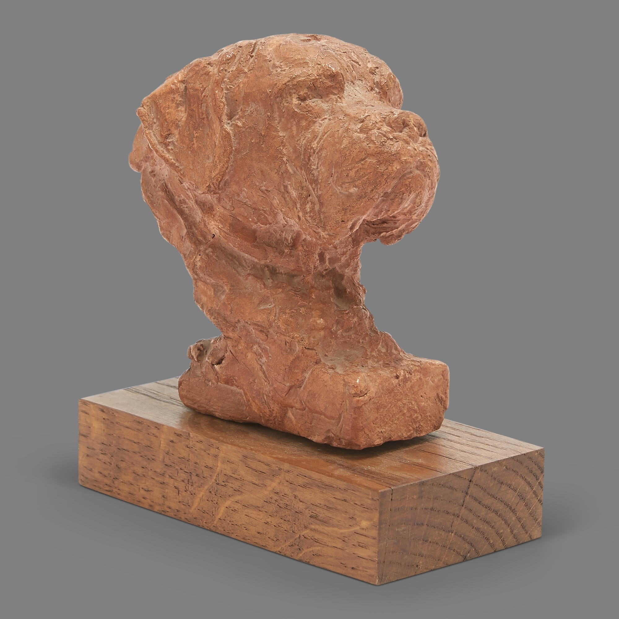 Richard Fath | Dogue de Bordeaux Head Study | MutualArt