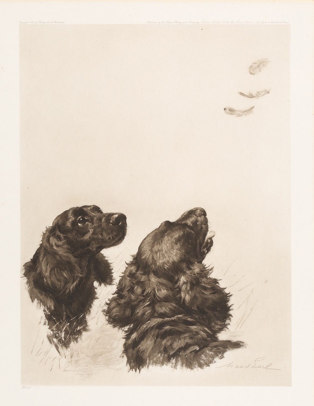 Maud Alice Earl | The Terriers and Toys | MutualArt