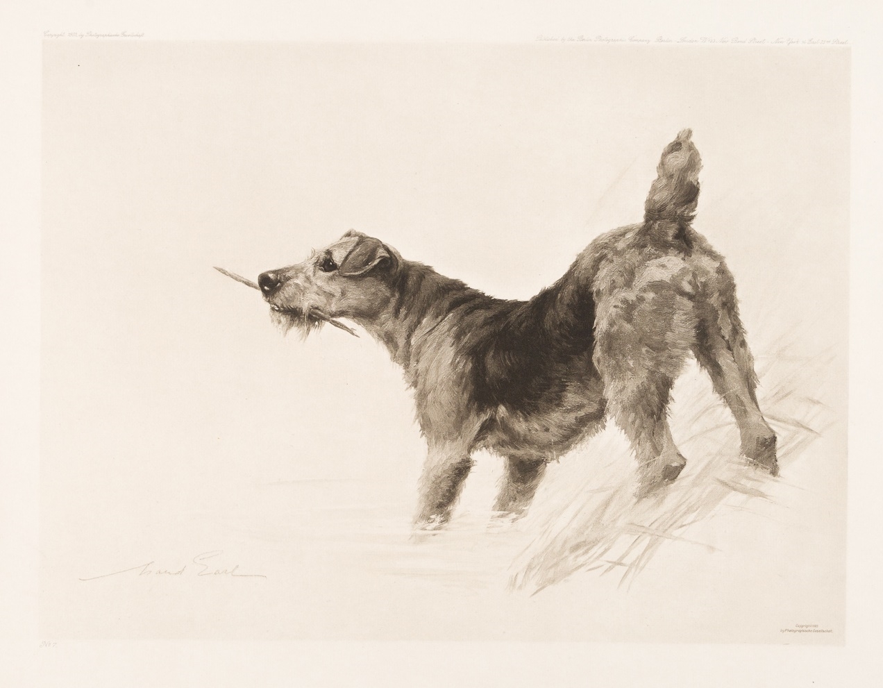 Maud Alice Earl | The Terriers and Toys | MutualArt