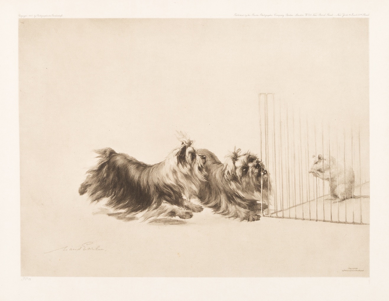 Maud Alice Earl | The Terriers and Toys | MutualArt