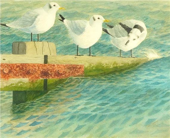 Martin Jenner | Kittiwakes at Rest (1989) | MutualArt