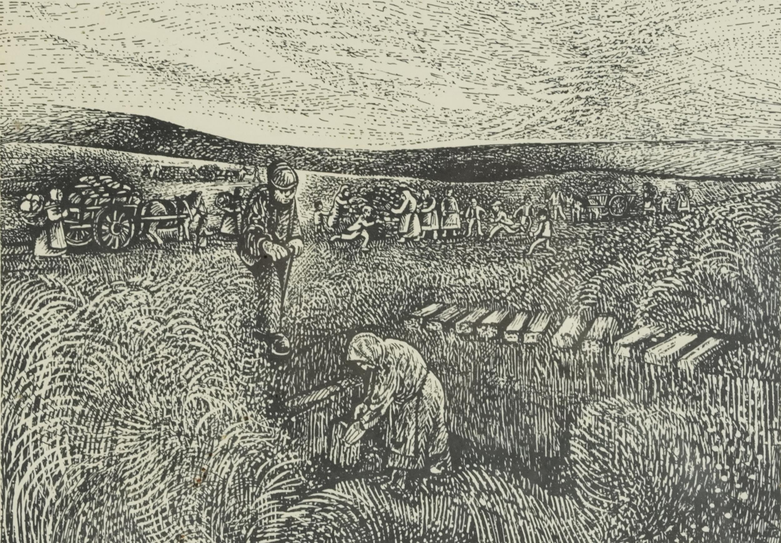 Edna Whyte | Highland Life | MutualArt