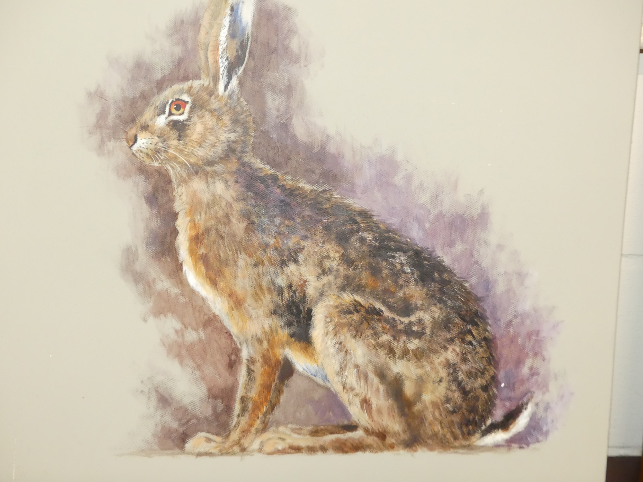 John Ryan | Study of a hare | MutualArt