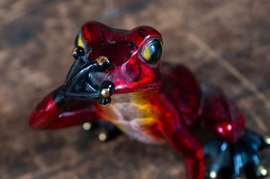 Barry Stein | Speak No Evil Frog | MutualArt