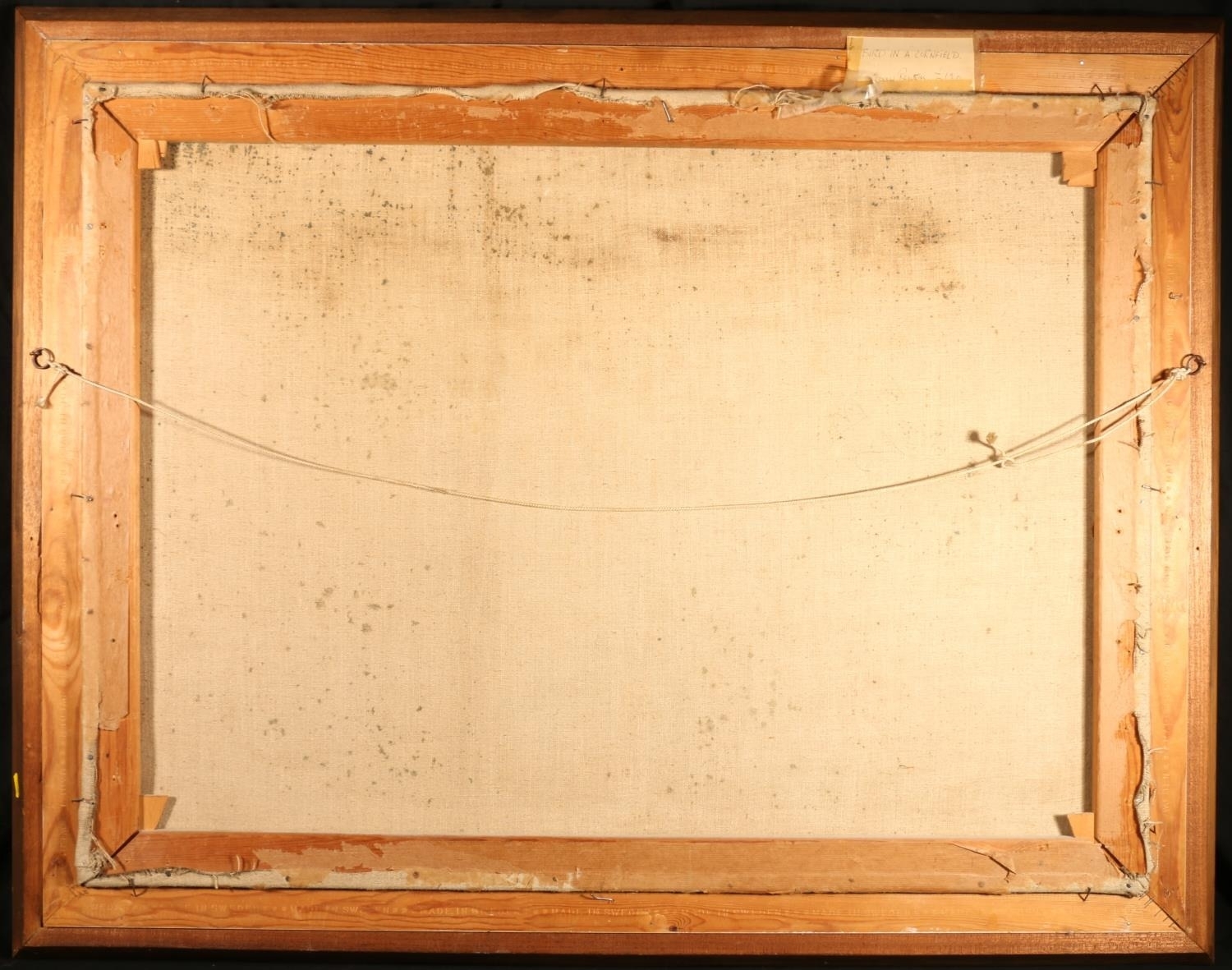 Joan Renton | Bird in a Cornfield | MutualArt