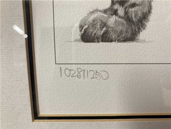 Gary Hodges | Cheetah | MutualArt