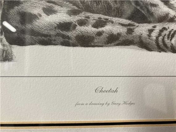 Gary Hodges | Cheetah | MutualArt