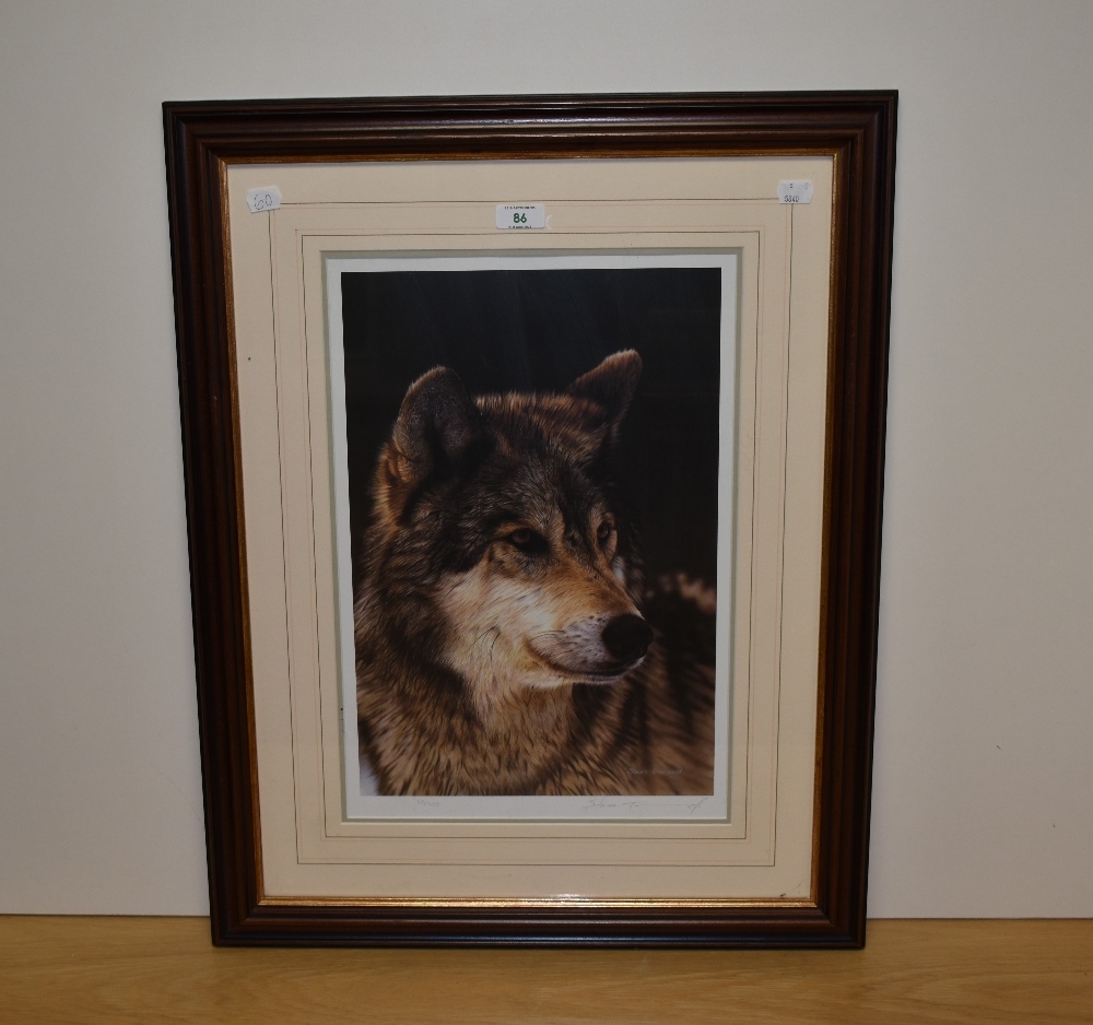 Steven Townsend | Study of a wolf | MutualArt