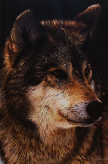 Steven Townsend | Study of a wolf | MutualArt
