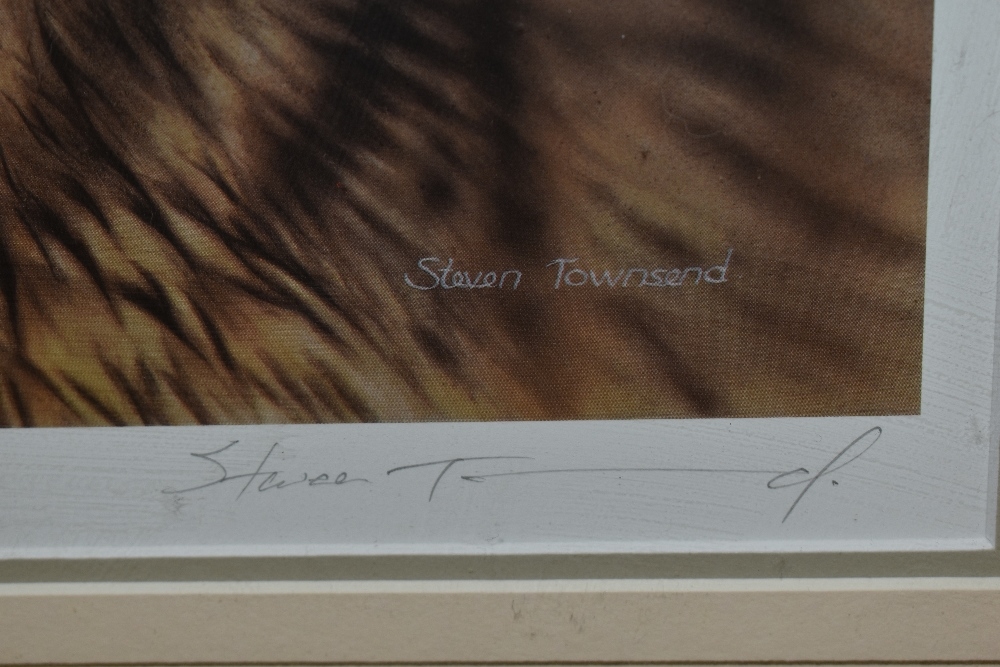 Steven Townsend | Study of a wolf | MutualArt