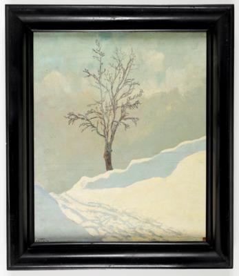 Hans Franta | Wintersonne | MutualArt