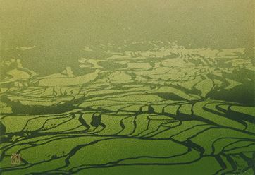 Yuji Sasaki | RICE TERRACE | MutualArt