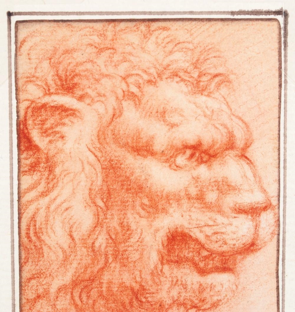 Peter Paul Rubens | OLD MASTER RED CHALK DRAWING OF A LION (17th ...