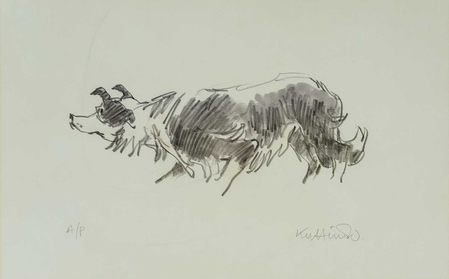 Kyffin Williams | Mott the sheepdog | MutualArt