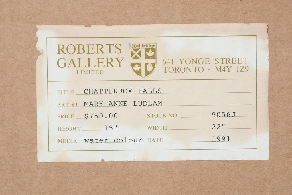 Mary Anne Ludlam | MARY ANNE LUDLAM CHATTERBOX FALLS CANADA PAINTING ...