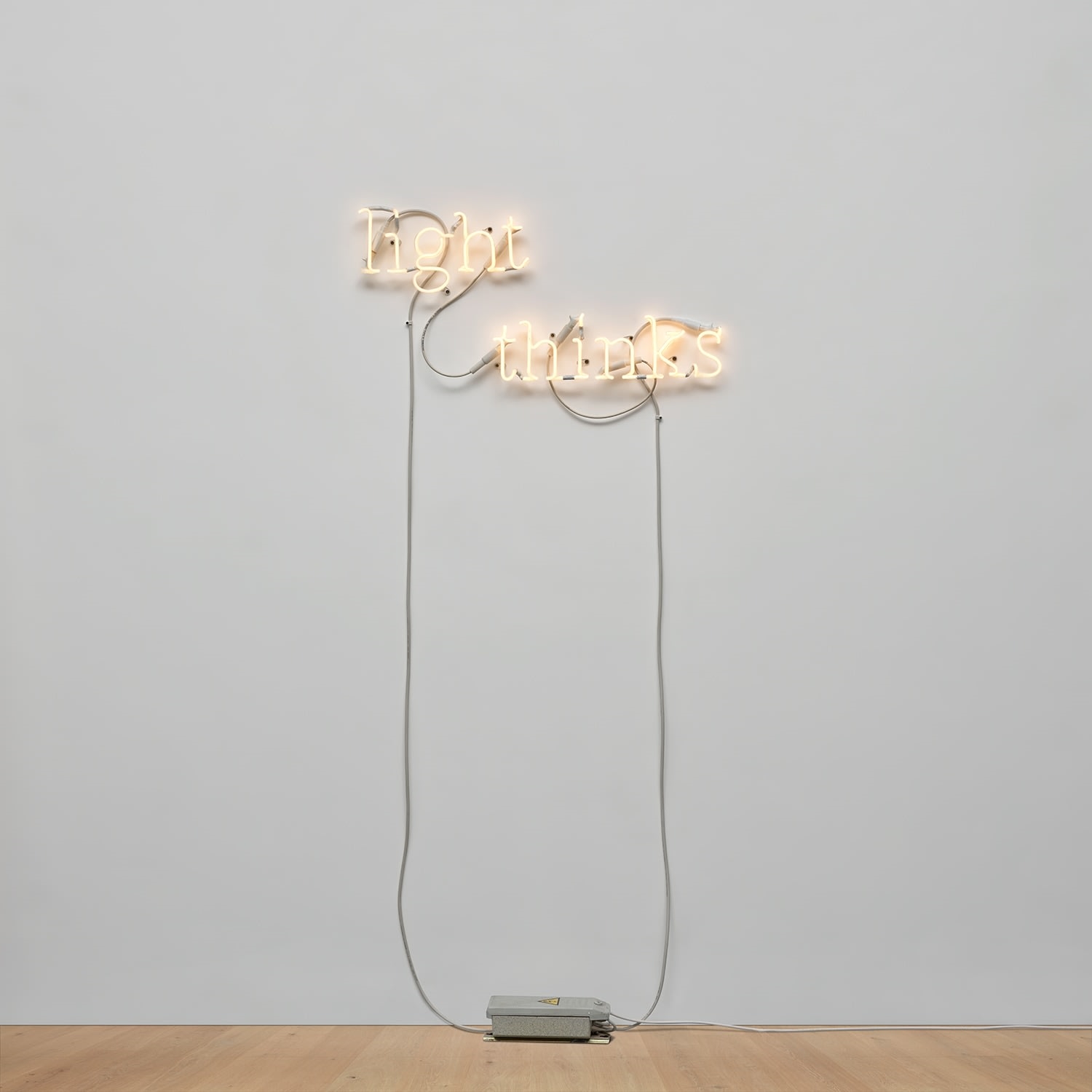 Joseph Kosuth | Art as Idea as Idea) /Pink (1968) | MutualArt