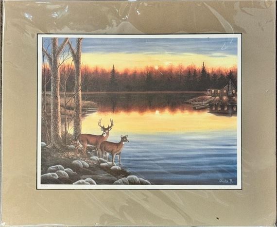 Judy Bourque | Biography