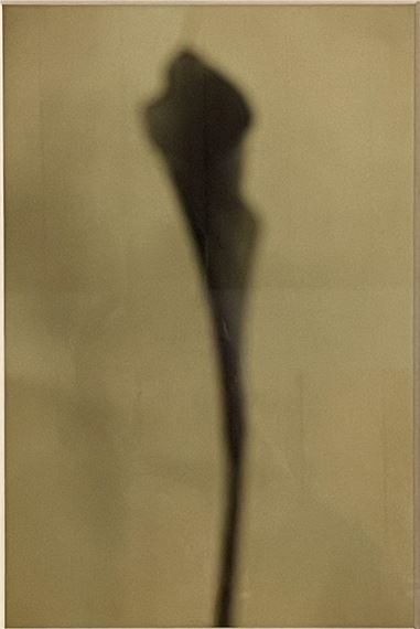 Keith Abbott | 3 Artworks at Auction | MutualArt