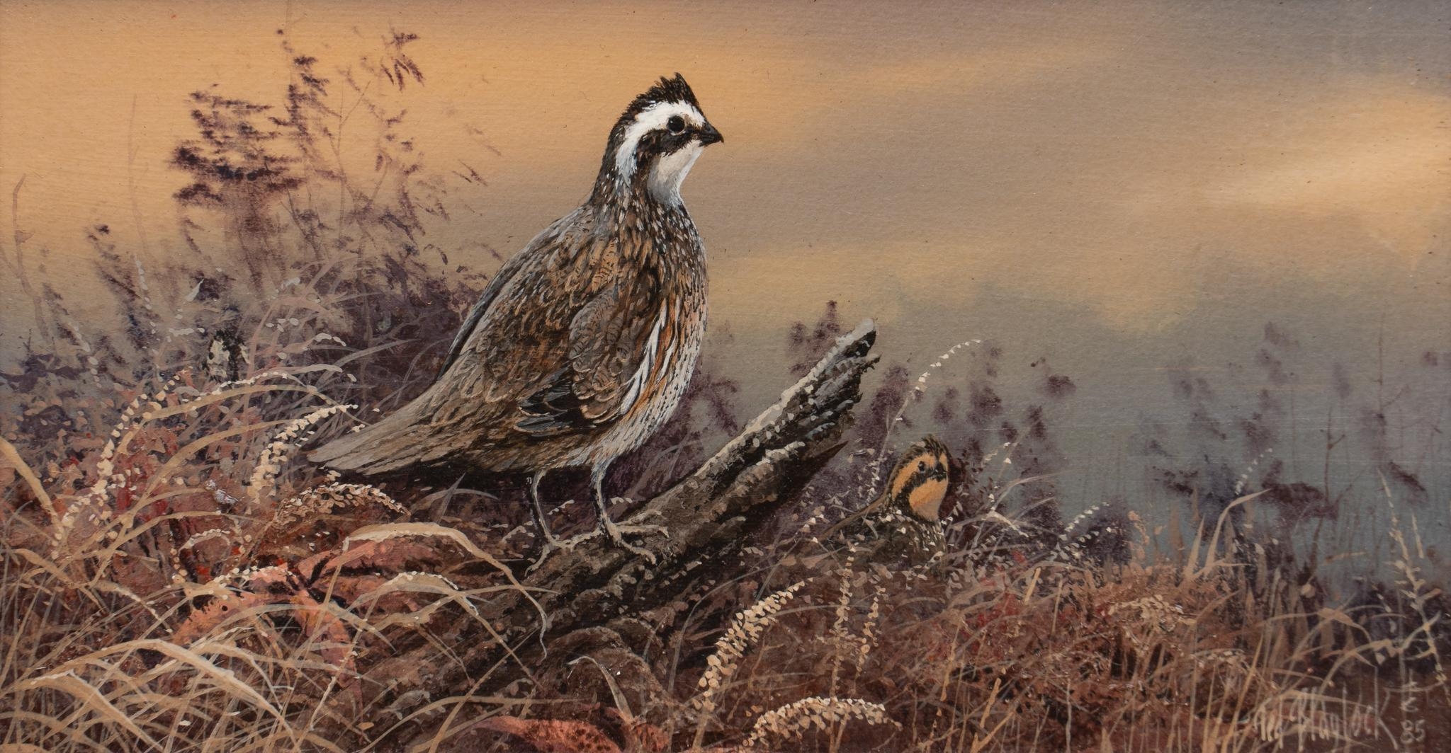 Ted Blaylock | Lone Quail (1985) | MutualArt