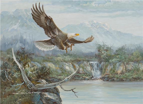 M.P. Elliott | Bald Eagle | MutualArt