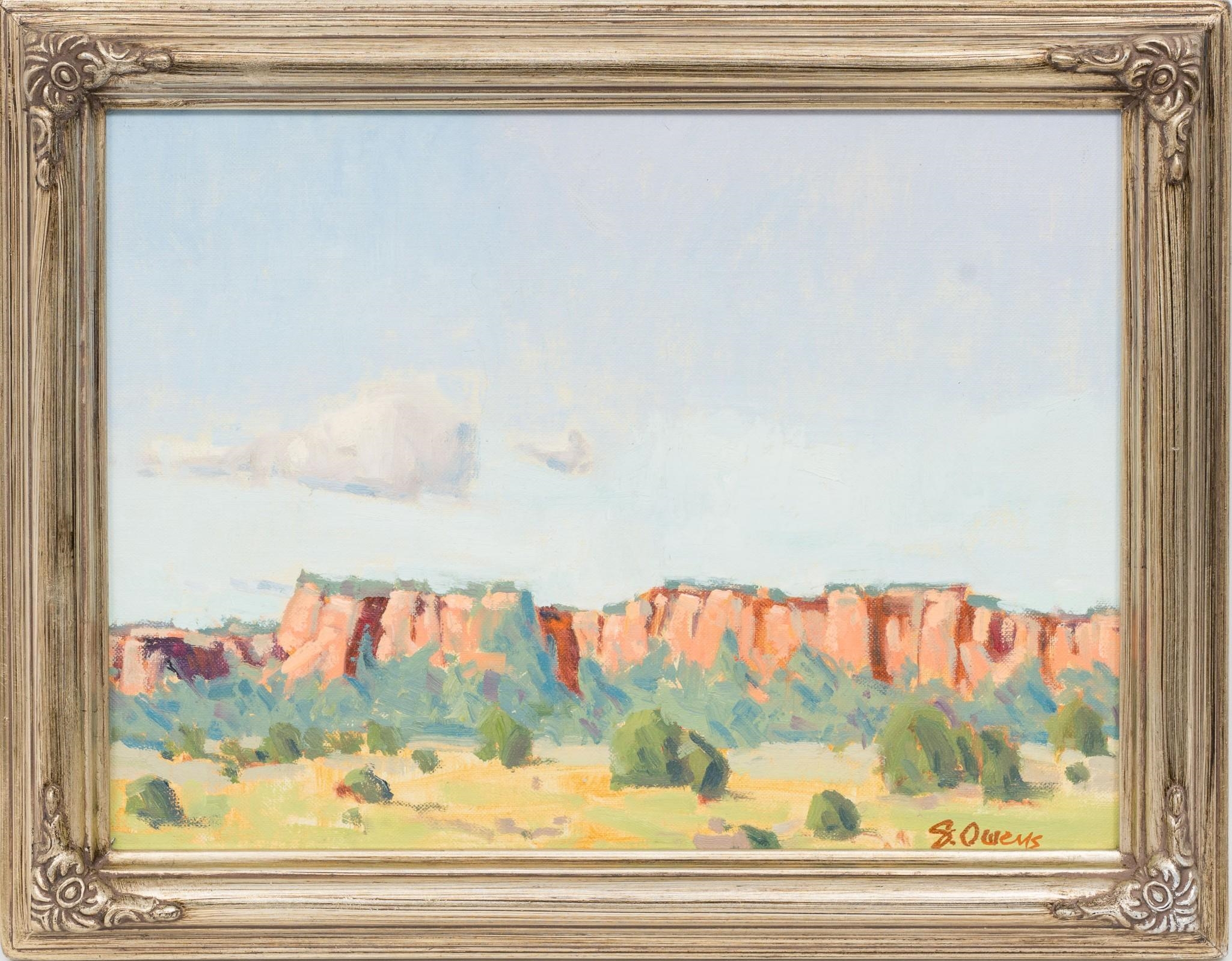 Suzanne Owens | El Malpais | MutualArt