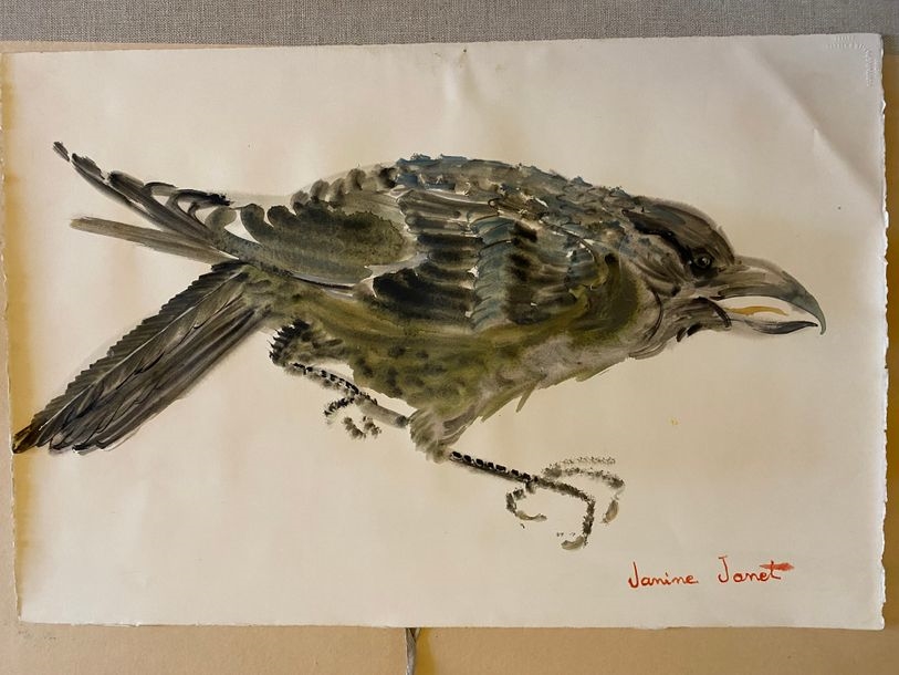 Janine Janet | - Corbeau - Watercolor | MutualArt