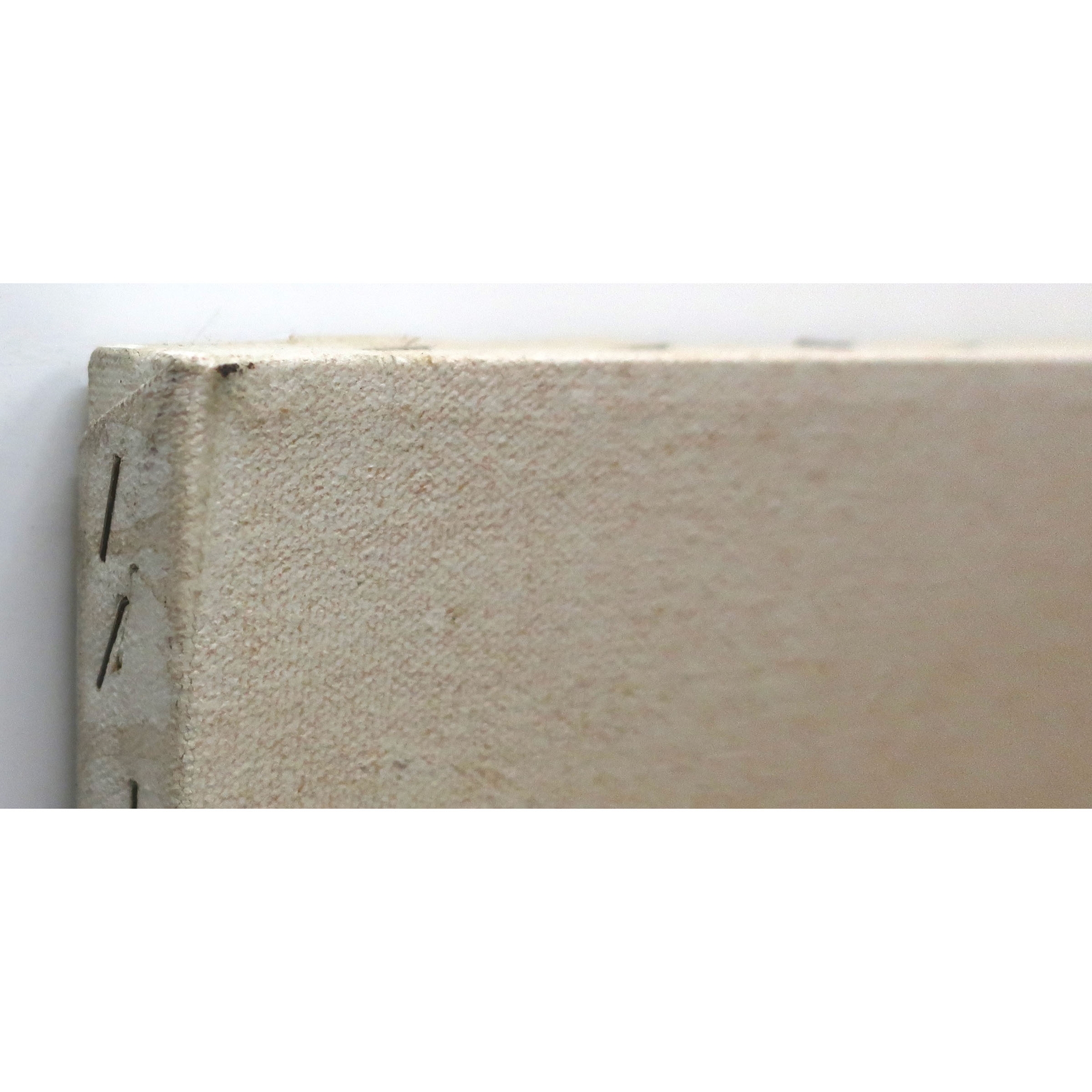 Randy Trudeau | THE SWIFTNESS AND THE POWER FROM THE LYNX (1981 ...