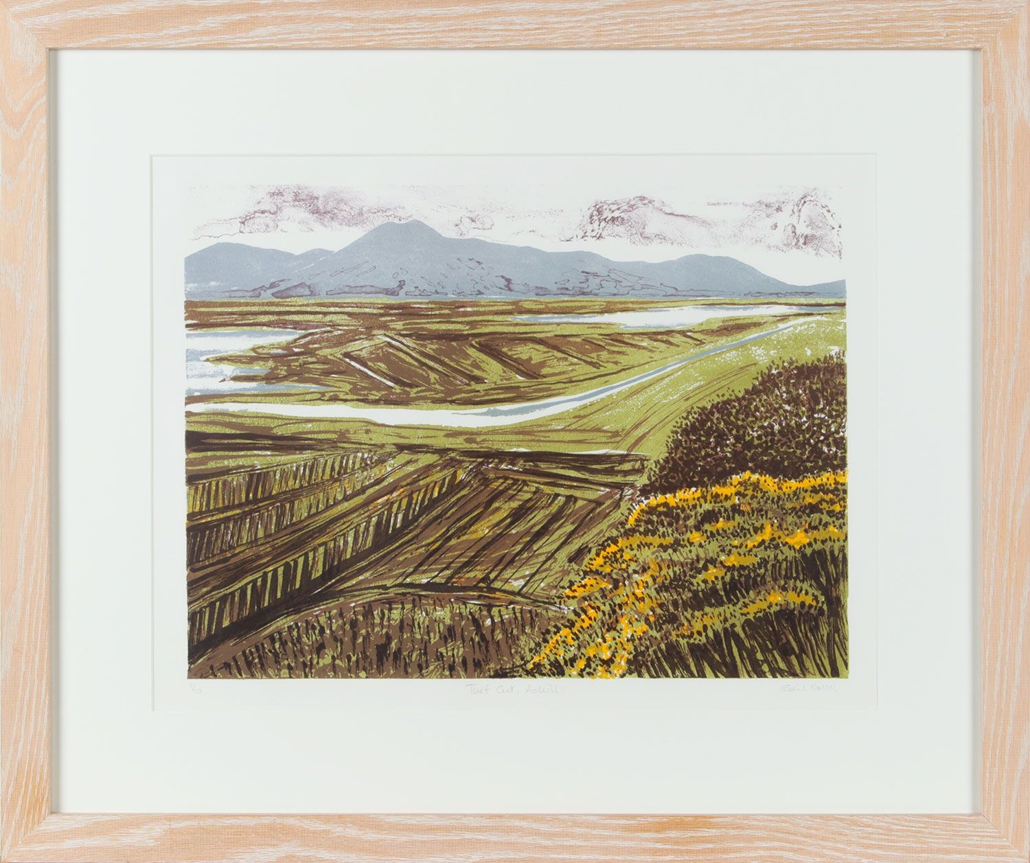 Gail Kelly | THE TURF CUT, ACHILL | MutualArt