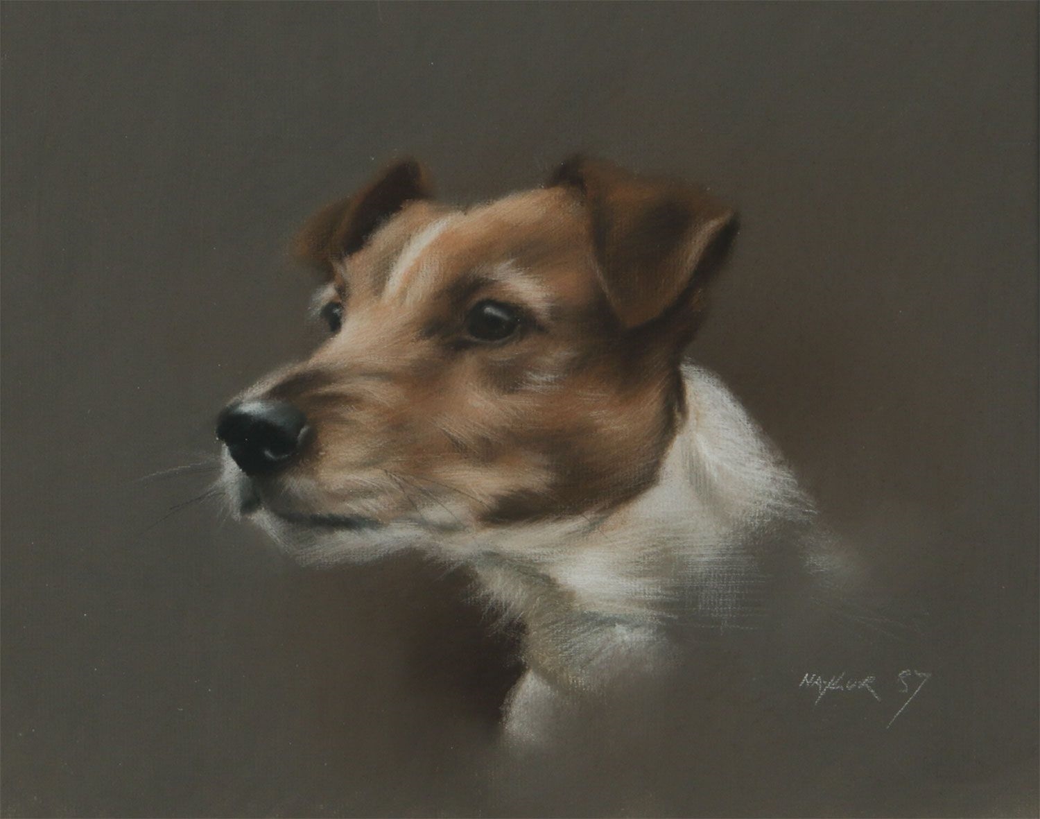 John Naylor | HEAD OF A JACK RUSSELL (1987) | MutualArt