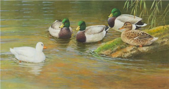 Neil Cox | MALLARDS MEET A CALL DUCK | MutualArt