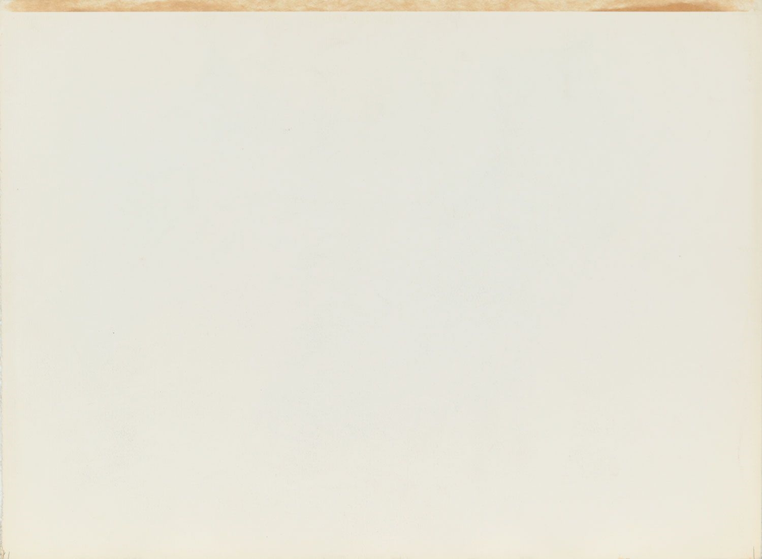 Raymond Piper | STUDY OF CATS (1964) | MutualArt