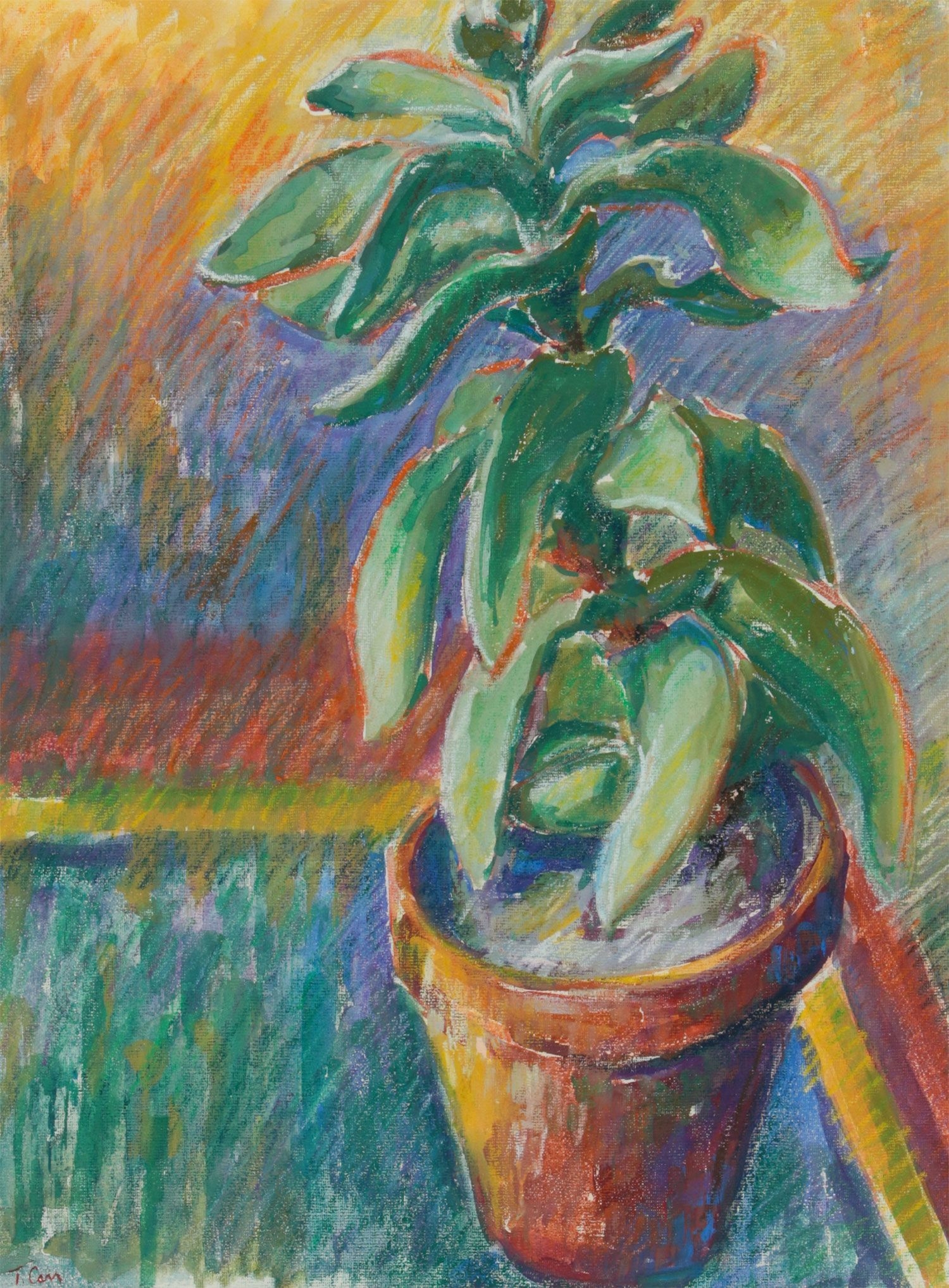 Thomas Carr | Whin Bushes | MutualArt