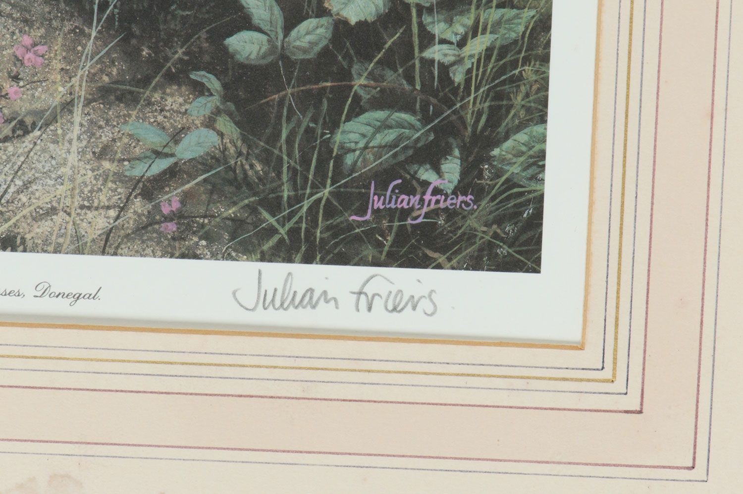 Julian Friers | PEREGRINE, THE ROSSES DONEGAL | MutualArt